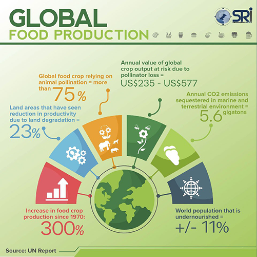 Global Food Production – SRI